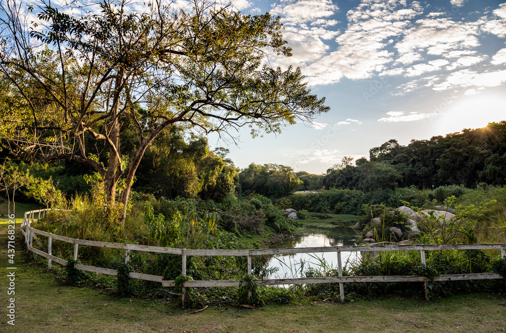 paisagem de um parque natural incluindo arvores, sol, vegetação, lago ...