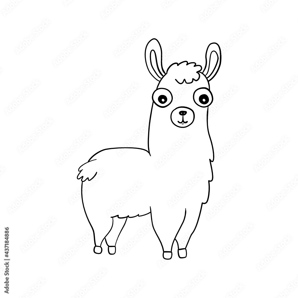 Lama Animal Coloring Pages
