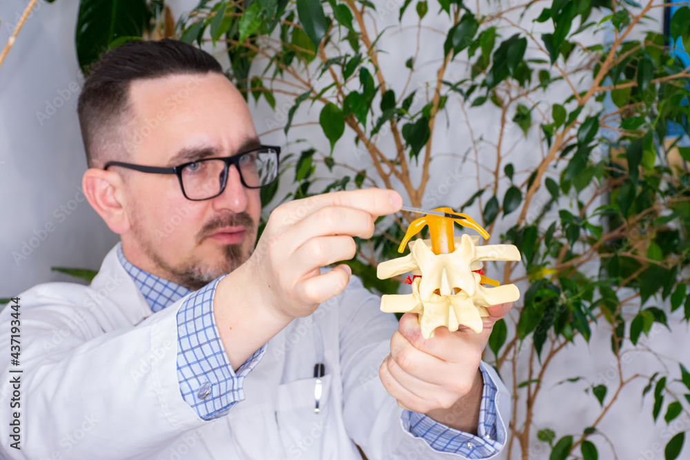 Anatomy and location of the sensory or motor nerve root or ganglion of ...