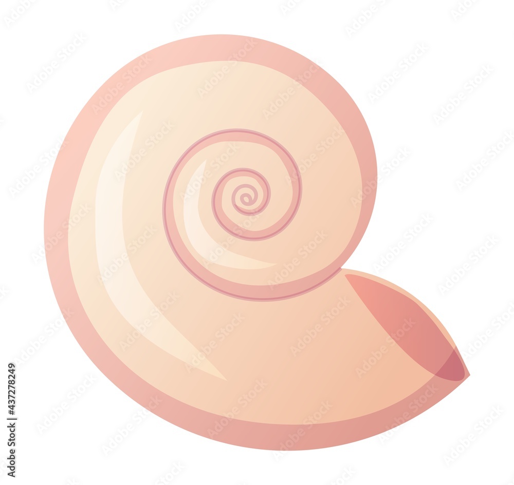 Pink scallop seashell. Beach clipart,ocean element concept. Stock ...