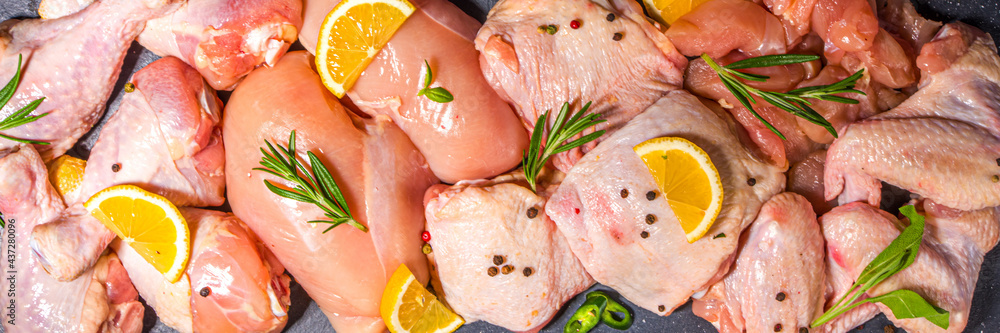 Various raw chicken meat portions. Set of uncooked chicken fillet ...