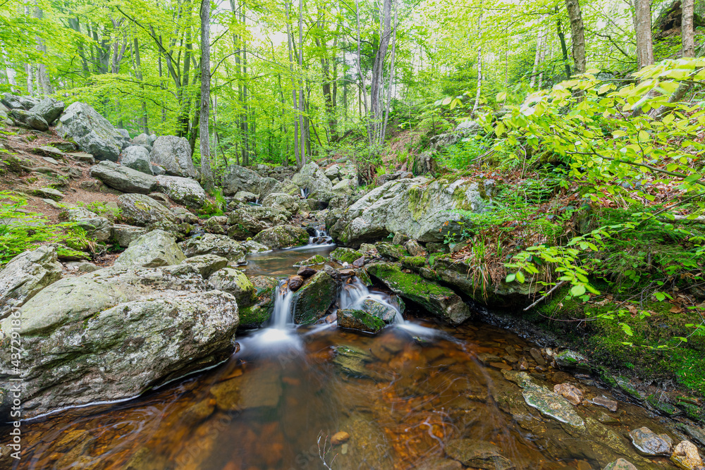 Statte river in the Belgium Ardennes is a small river full of cascades ...