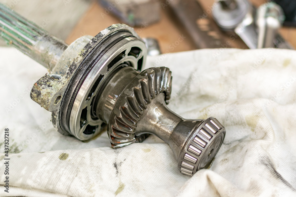 Tail shaft maintenance , stem bearing, backplate of the sailing boat ...