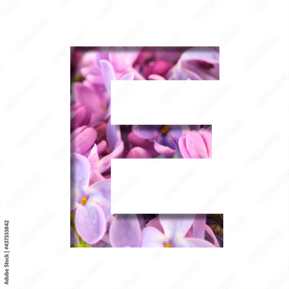 Lilac spring flowers font. The letter E cut out of white on the ...