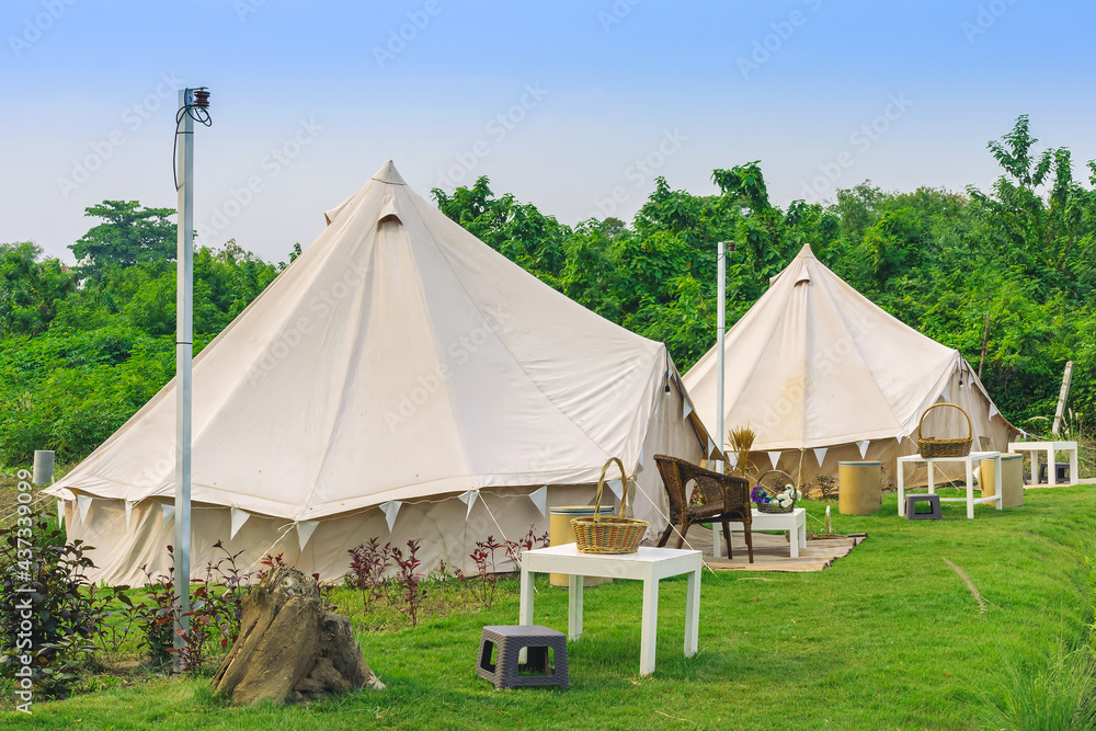 Holiday tents and lounge areas on green lawn place among trees at ...