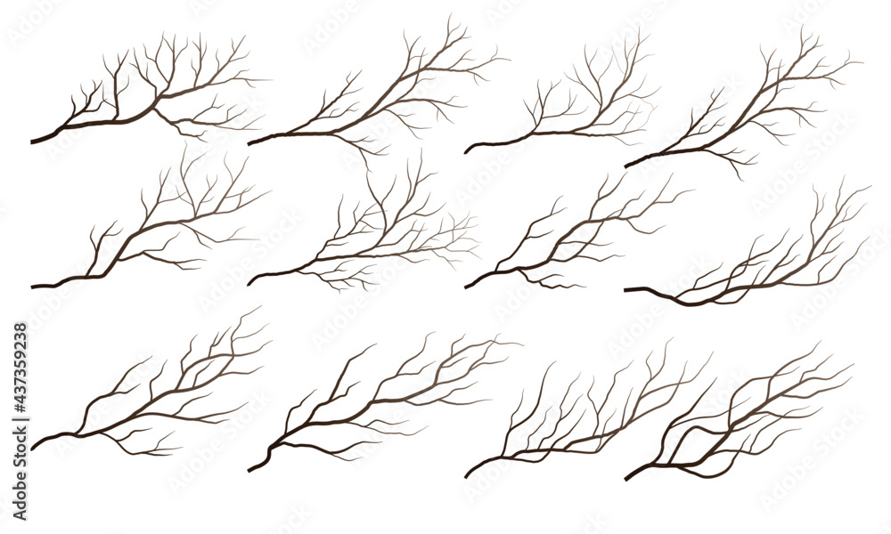 dry tree branches Stock Vector | Adobe Stock