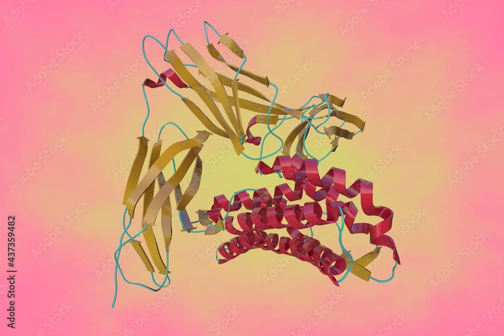 Crystal structure of human interleukin-5 in complex with its receptor ...