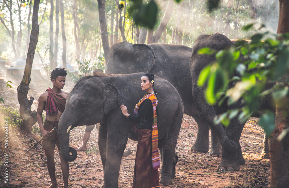 thai shepherds in the jungle with elephants. Historic lifestyle moments ...