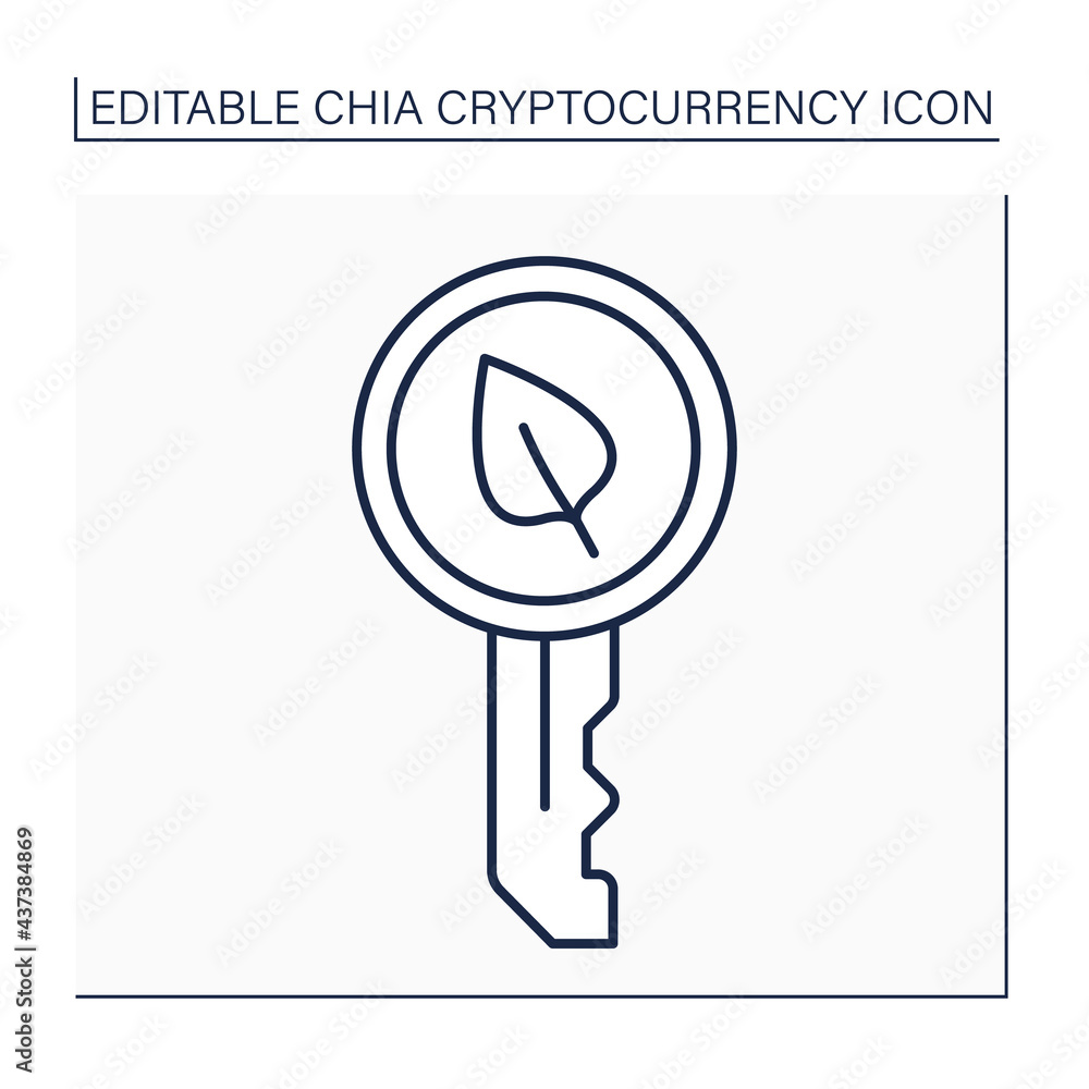 Chia key line icon. Personal safety key for data. Gets hard coded into ...