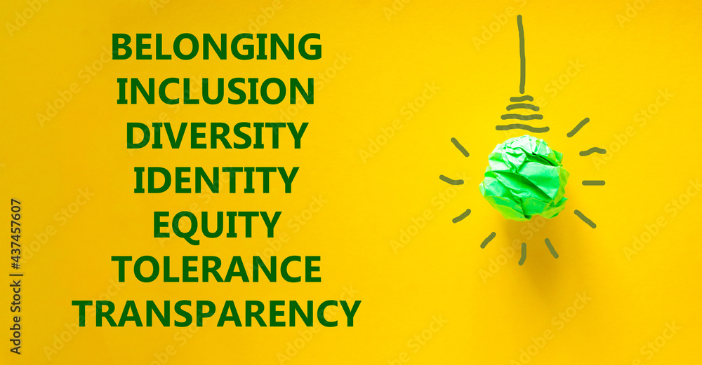 Diversity inclusion belonging equity identity tolerance transparency ...