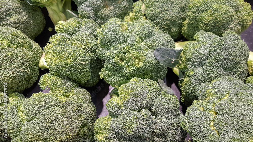 Macro photo green fresh vegetable broccoli. Fresh green broccoli on a ...