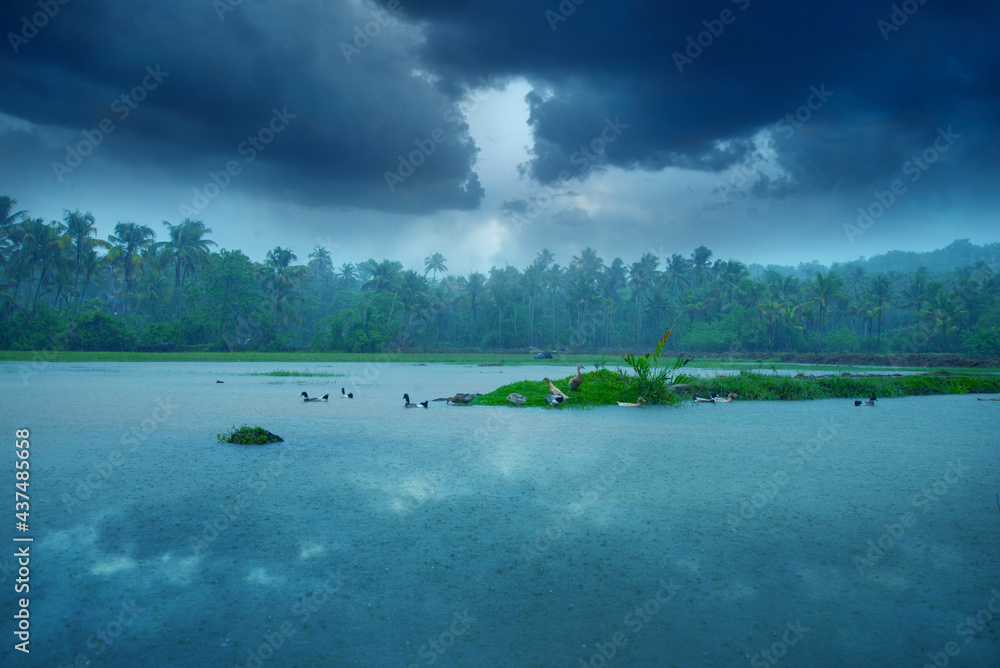 Beautiful scenery rainy day, Landscape Photography - rainy day with ...