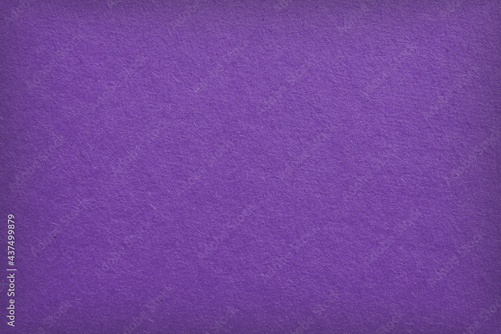The surface of violet cardboard. Paper texture with cellulose fibers ...