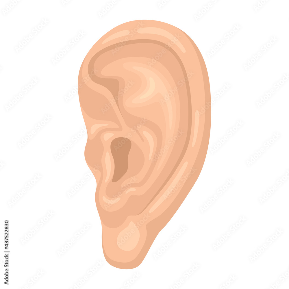 Human ear anatomy cartoon icon. Organ that enables hearing and balance ...