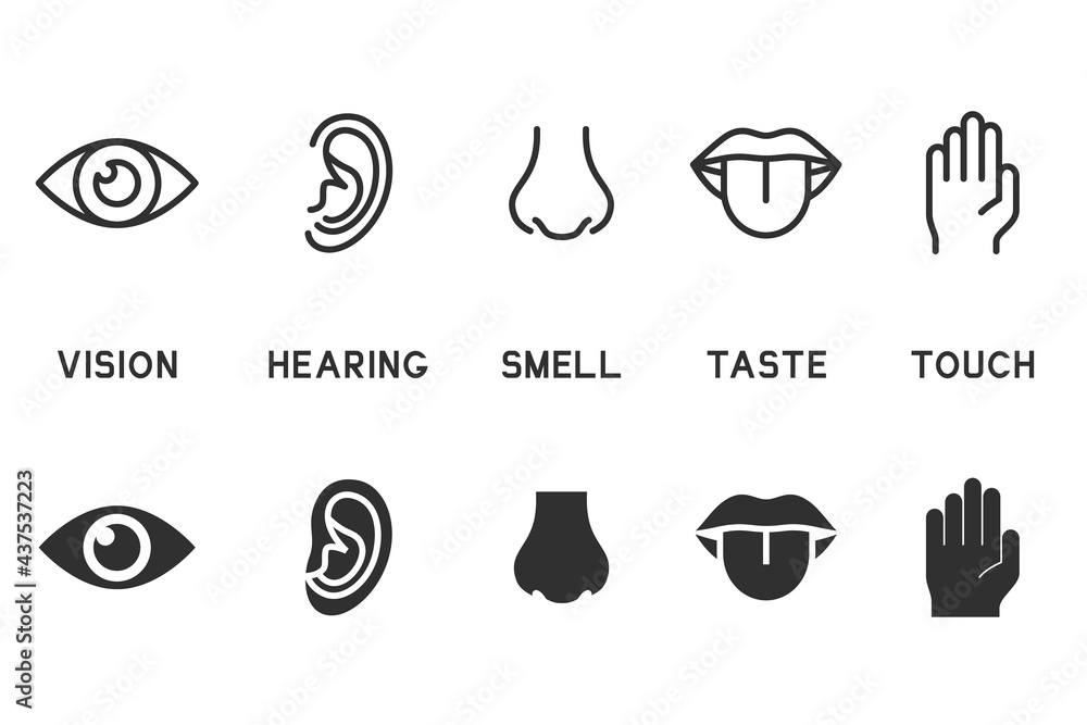 Vector set of five human senses icons. Contains icons vision, hearing ...