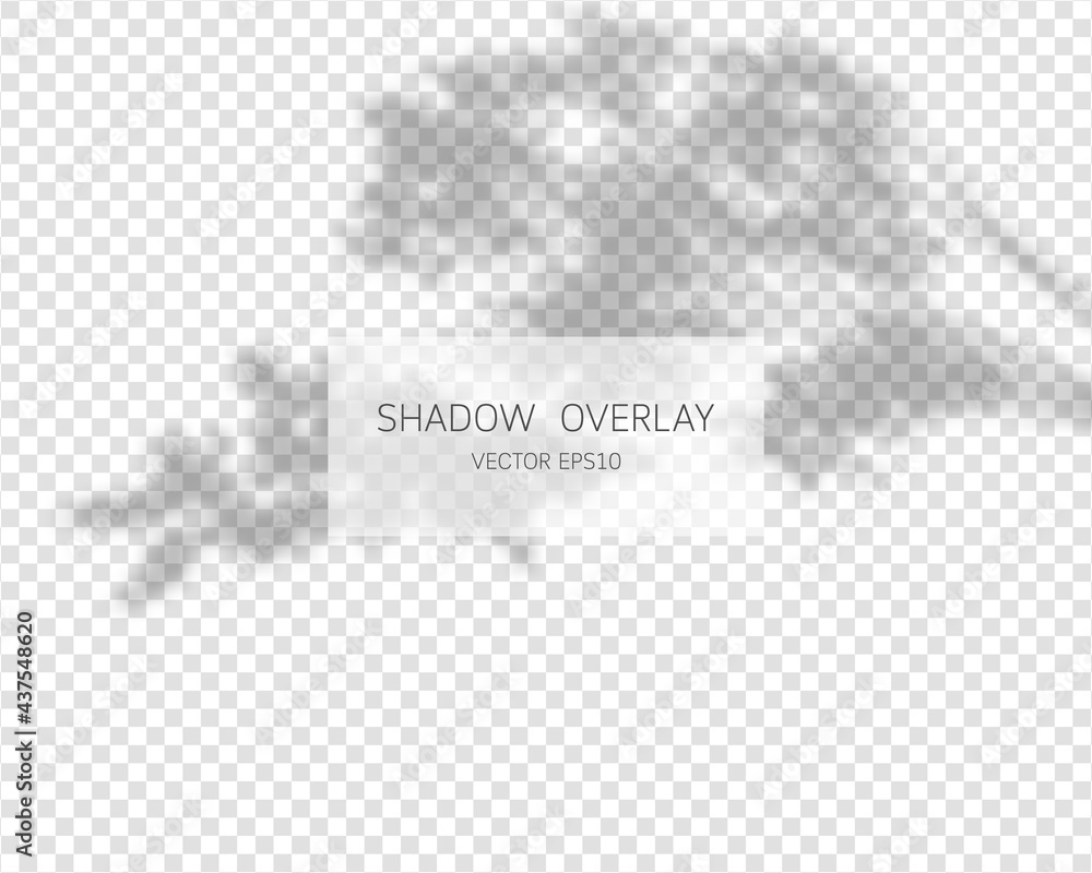 Shadow overlay effect. Natural shadows isolated on transparent ...