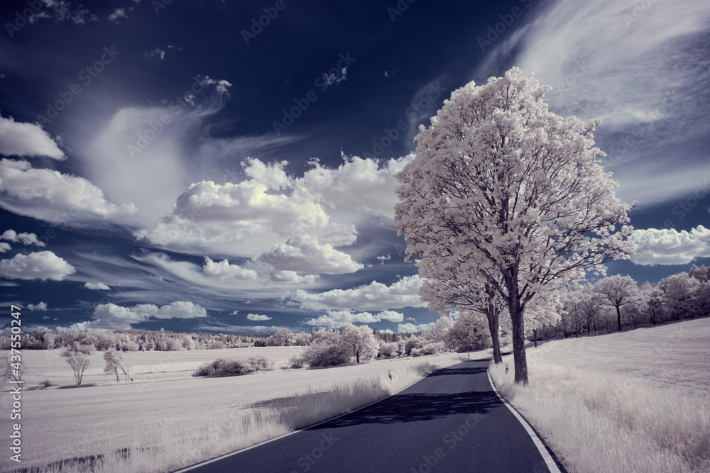 infrared photography - ir photo of landscape with tree under sky with ...