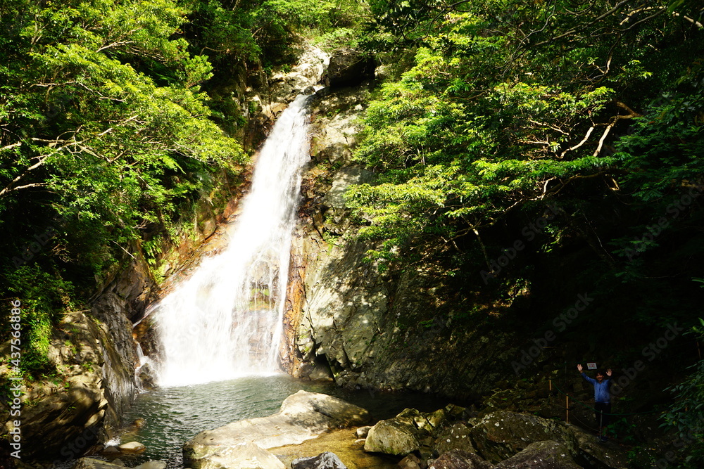 Hiji waterfall, Hijiotaki, Okinawan national park - 比地大滝 沖縄 Stock Photo | Adobe Stock