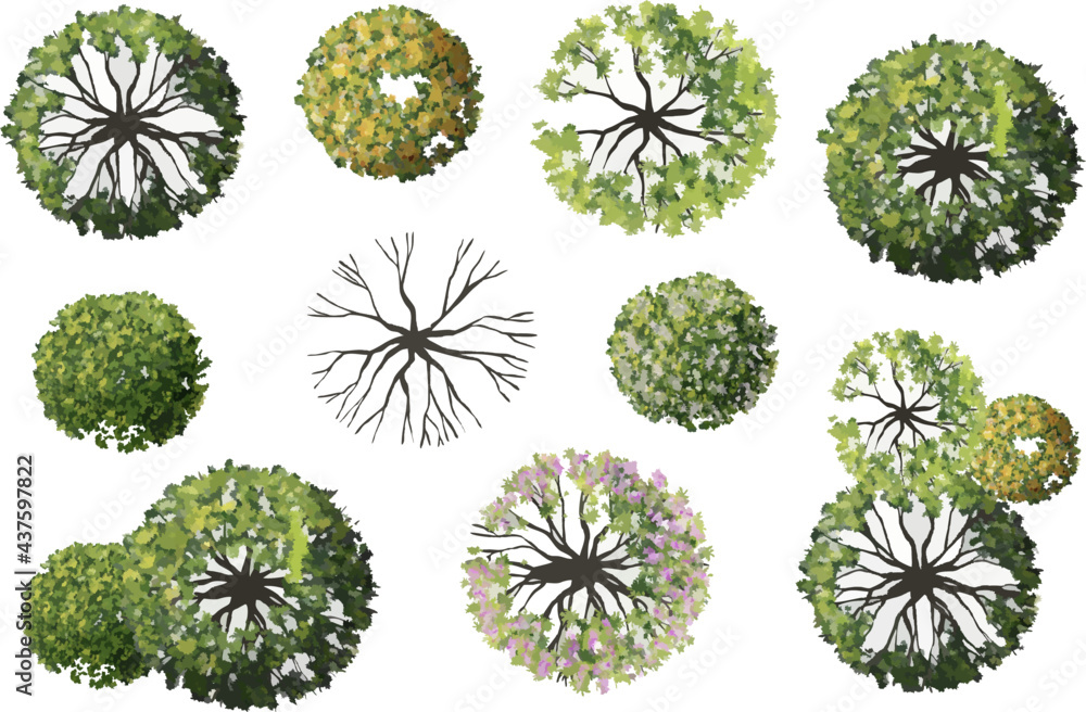 vector green tree top view isolated on white background for landscape ...