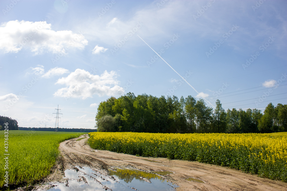 Suburbs of Grodno. Belarus. A country road after the rain and fields on ...