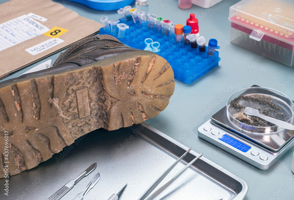 Shoe particle trace samples in crime lab, homicide investigation ...