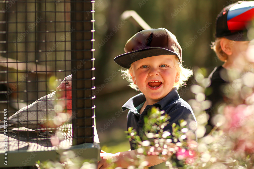 Happy little boy standing near galah cage with big smile at nature park ...