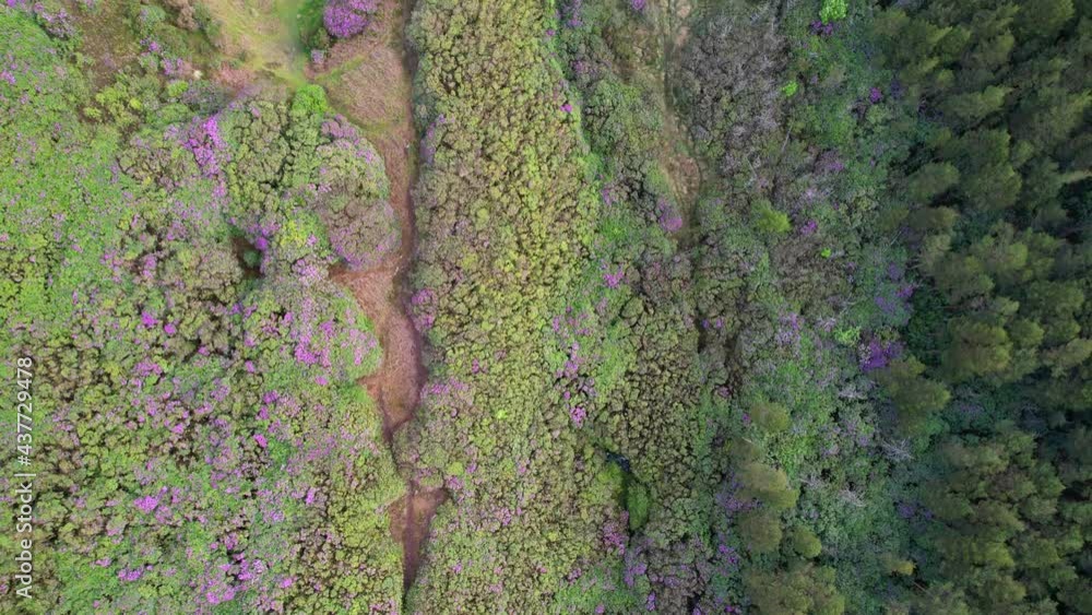 Eagle eye view of a tri spear shaped roads near the Vee Pass, a v ...
