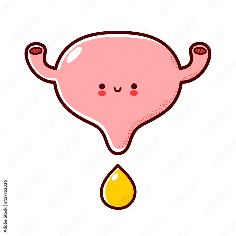 Cute happy funny human bladder organ character with urine drop. Vector ...