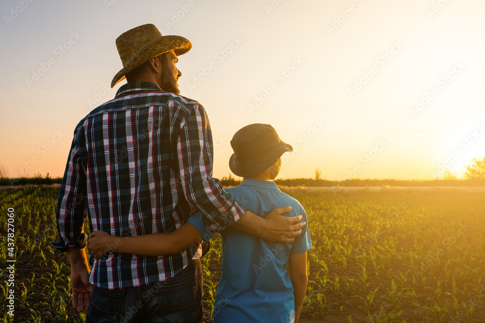Father and son are standing in their growing wheat field. They are ...
