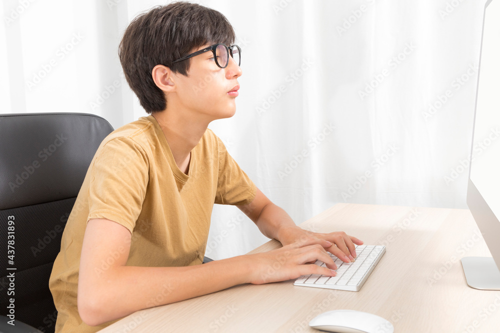 Serious teenage boy sitting on the chair while using computer at home ...