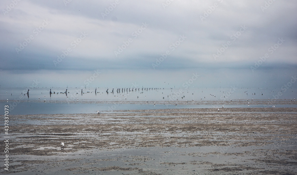 Strand von Cuxhaven an der deutschen Nordseeküste mit Panorama Poster ...