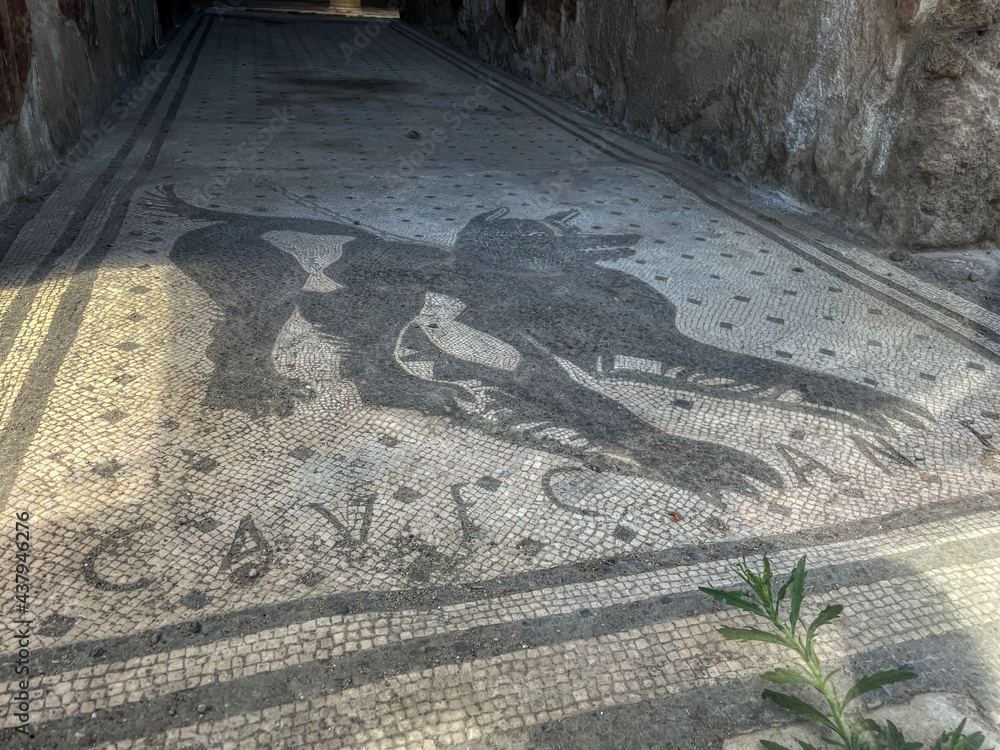 Archaeological Park of Pompeii. The “Cave Canem” mosaic ("beware of the ...