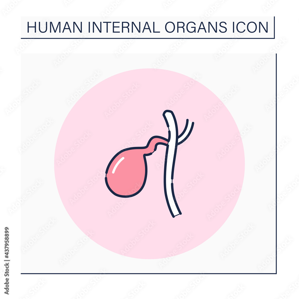 Gallbladder color icon. Hollow organ for bile. Medical treatment. Body ...
