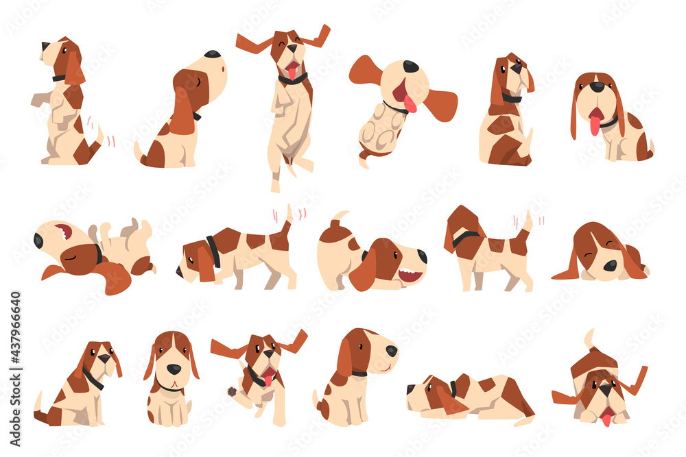 Dogs In Funny Poses