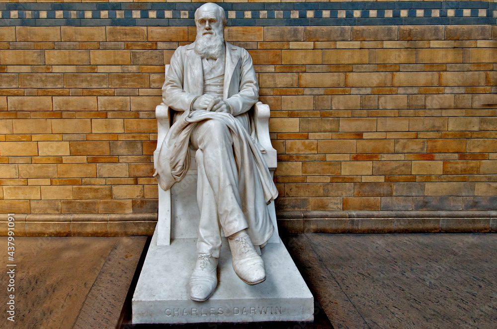 The siting “Darwin Statue” was created by Sir Joseph Boehm and was ...