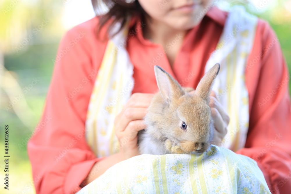 Adorable young rabbit and woman sit together outdoor. Owner care little ...