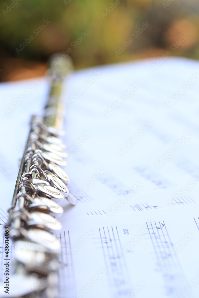 Flute, woodwind brass instrument in classical orchestra. Silver modern ...