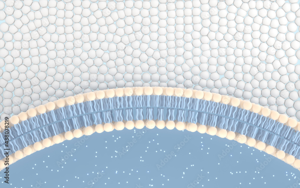 Cell membrane with blue background, 3d rendering. Stock Illustration ...
