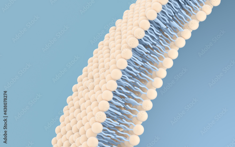 Cell membrane with blue background, 3d rendering. ilustração do Stock ...