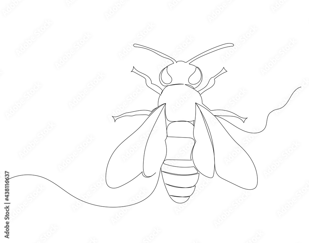 bee drawing by one continuous line isolated, vector Stock Vector ...