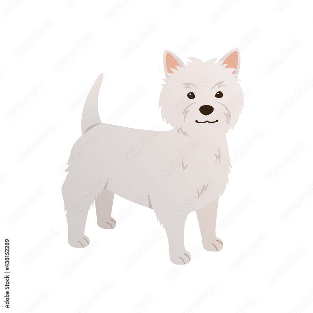 West Highland White Terrier vector. Cartoon dog illustration in flat ...