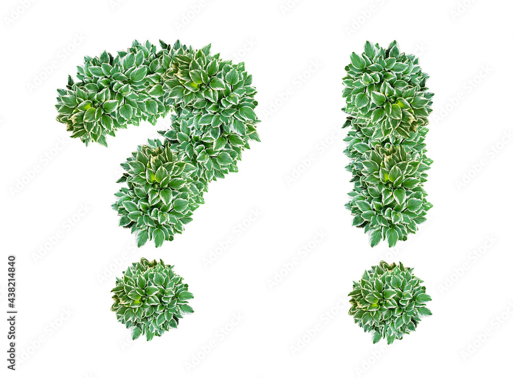 Question Mark and Exclamation mark made from Hosta plant leaves Stock ...