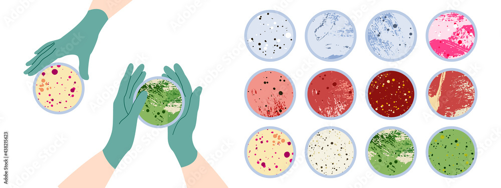 Scientist's hand in glove holding Petri dish, plate with agar ...
