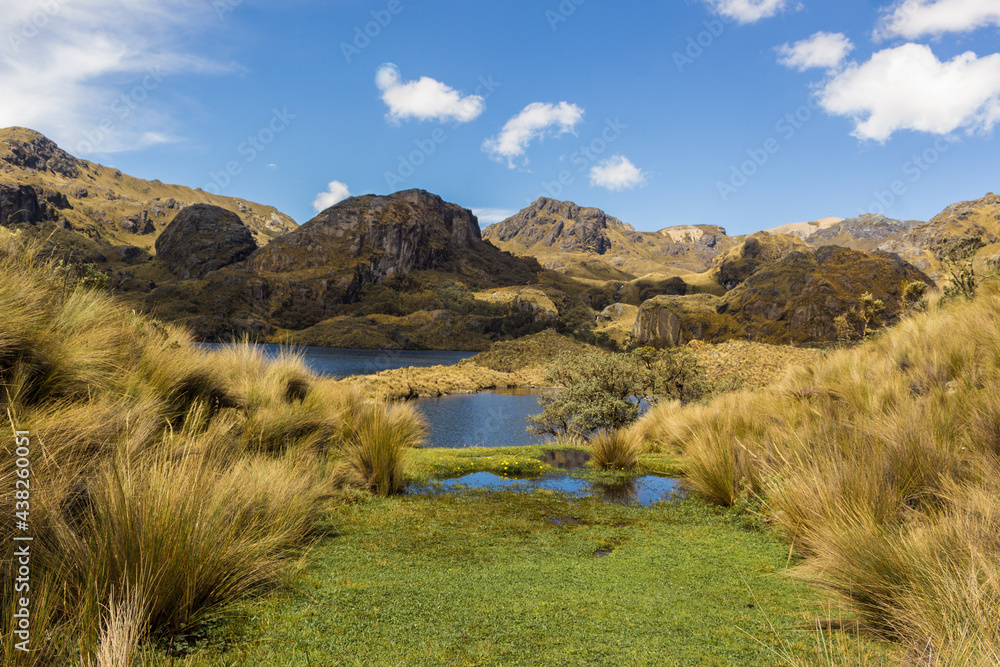 paramos andinos del parque nacional El Cajas en Cuenca - Ecuador Stock ...