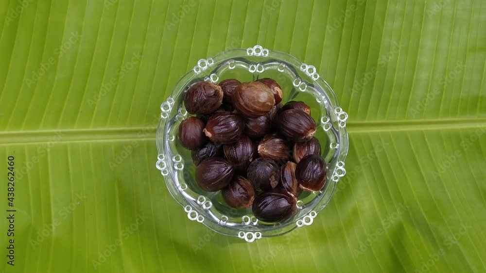 Hand picking tropical medicinal spice organic and farm fresh young ...