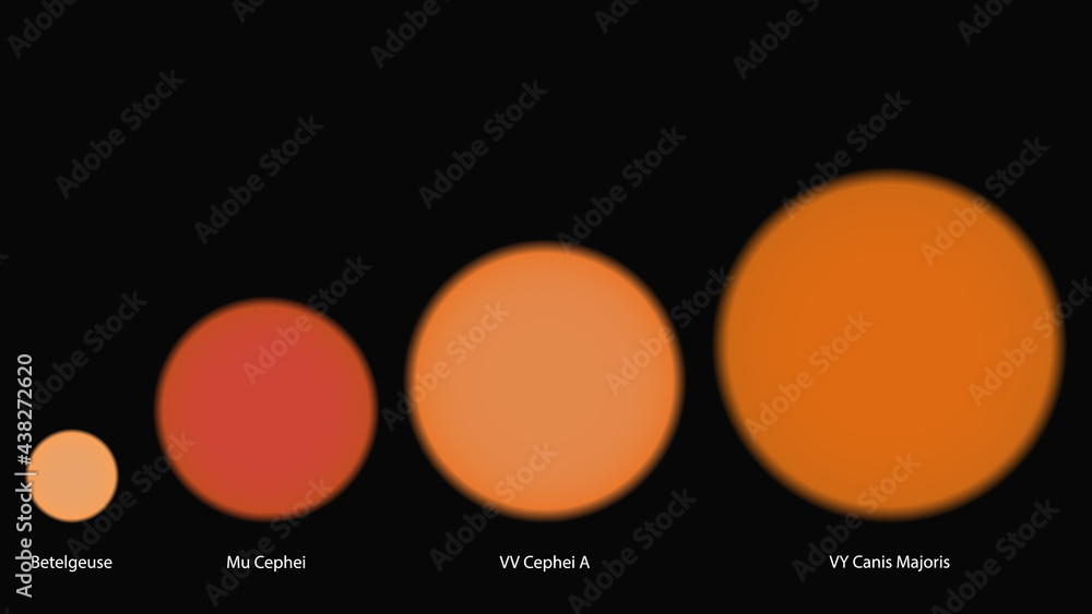 Stars sizes comparison. Comparison of different stars sizes vector ...