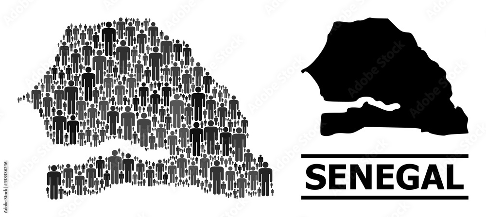 Map of Senegal for demographics applications. Vector population ...