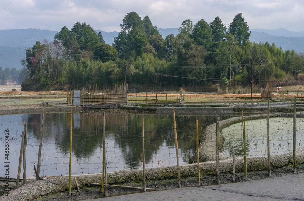 Beautiful landscape view of Apatani tribe rice fields and fish farms ...