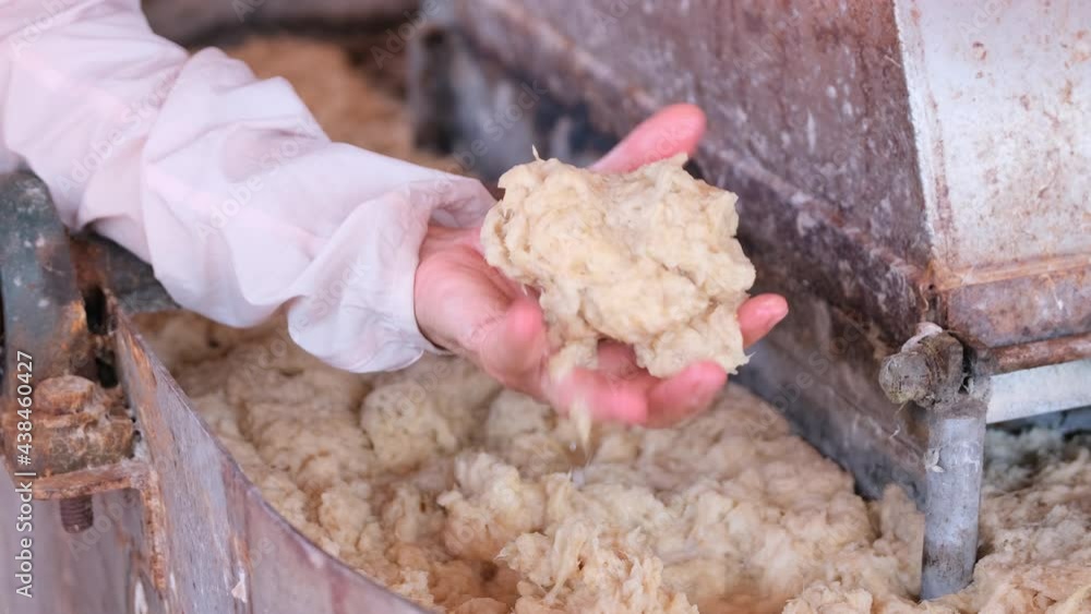 Close up woman hand hold paper tissue that are produced from elephant ...