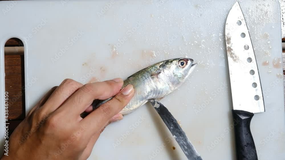 A footage of men removing the mackerel internal organ and clean it ...